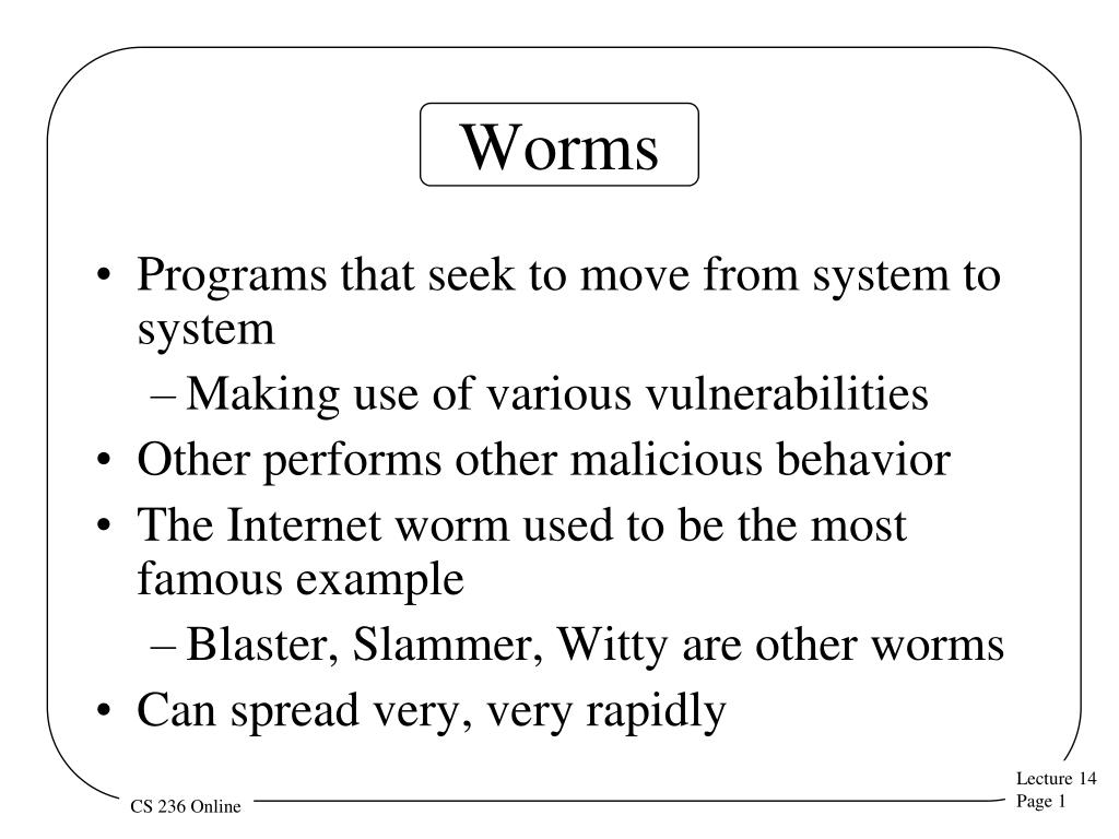 PPT - Worms PowerPoint Presentation, free download - ID:3029506