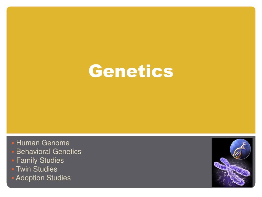 PPT - Genetics PowerPoint Presentation, free download - ID:3031126