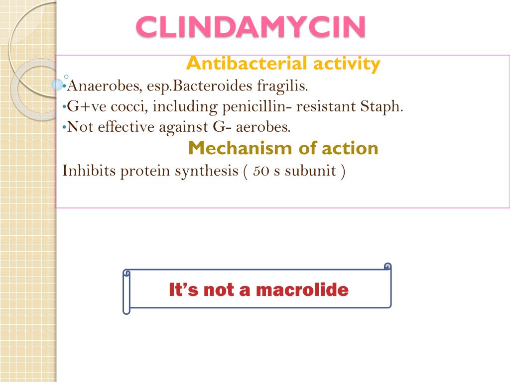 PPT - CLINDAMYCIN PowerPoint Presentation, free download - ID:3032805