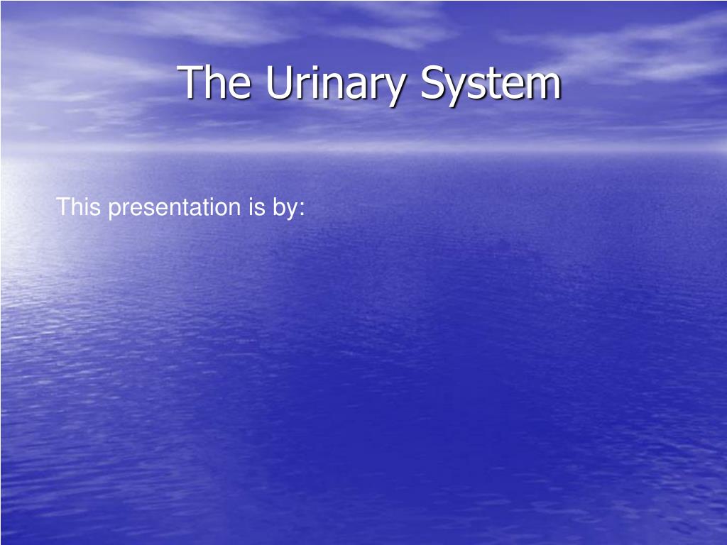 PPT - The Urinary System PowerPoint Presentation, free download - ID ...