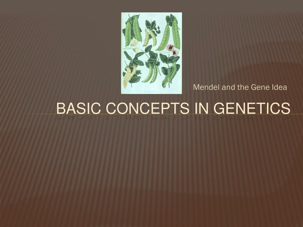 PPT - Basic Concepts in Genetics PowerPoint Presentation, free download ...