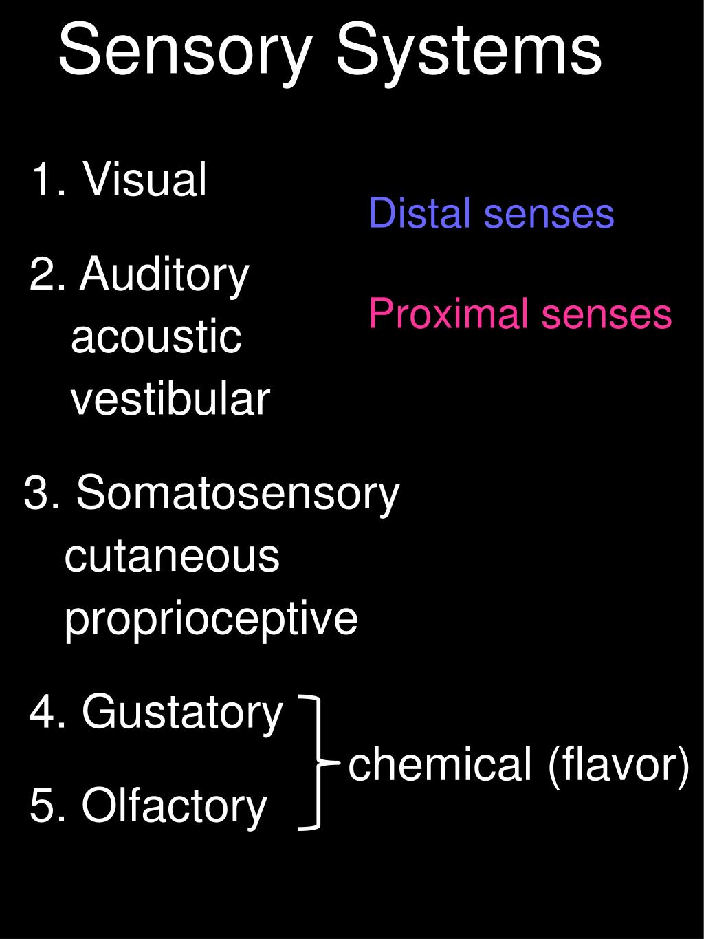 PPT - Sensory Systems PowerPoint Presentation, free download - ID:3035193