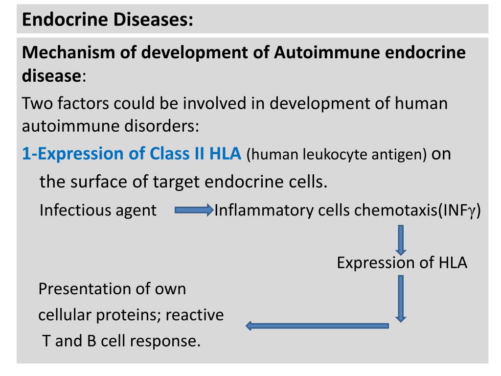 PPT - Endocrine Diseases: PowerPoint Presentation, free download - ID ...