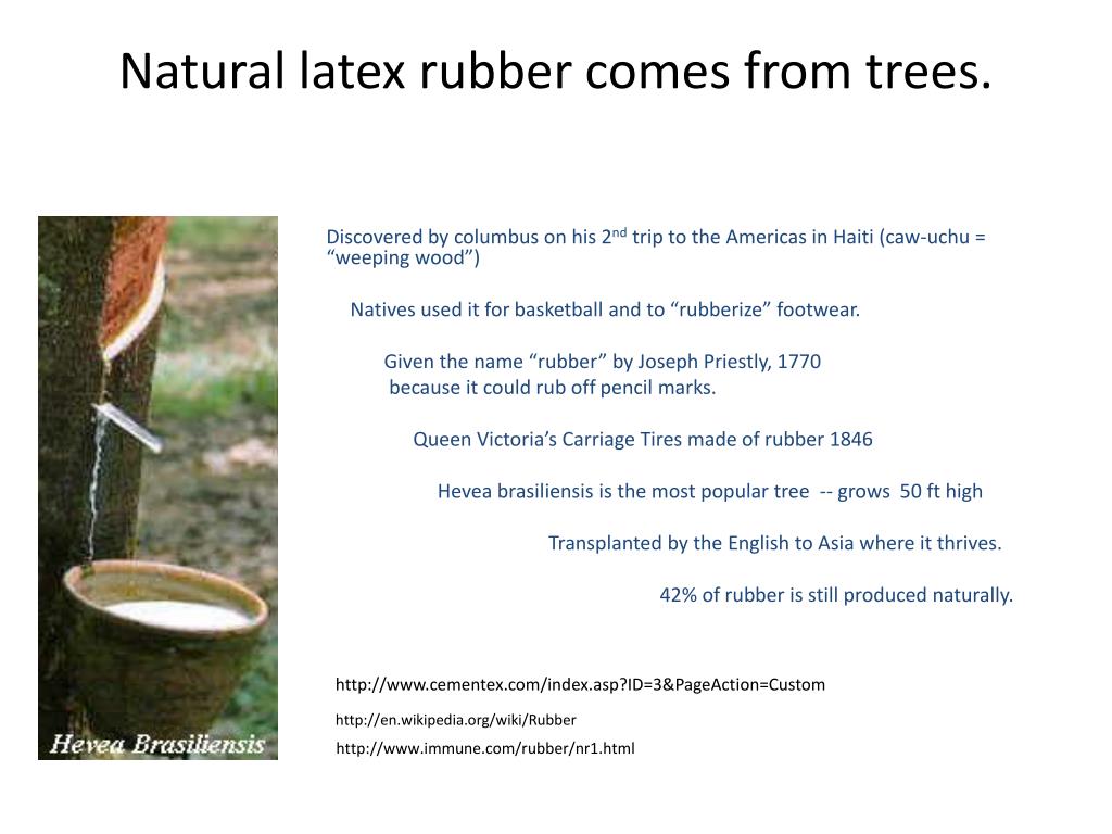 PPT - Natural latex rubber comes from trees. PowerPoint Presentation ...