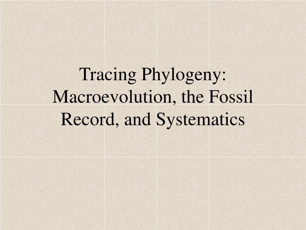 PPT - Tracing Phylogeny: Macroevolution, the Fossil Record, and ...