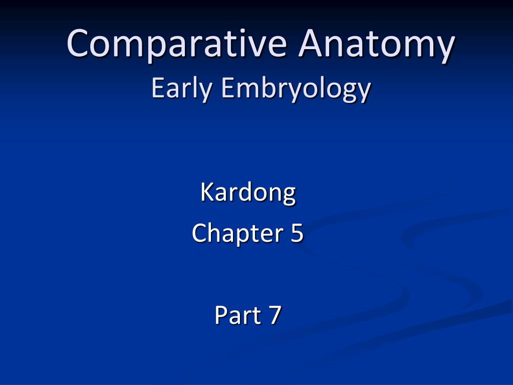 PPT - Comparative Anatomy Early Embryology PowerPoint Presentation ...