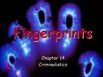 PPT - Fingerprints PowerPoint Presentation, free download - ID:146843