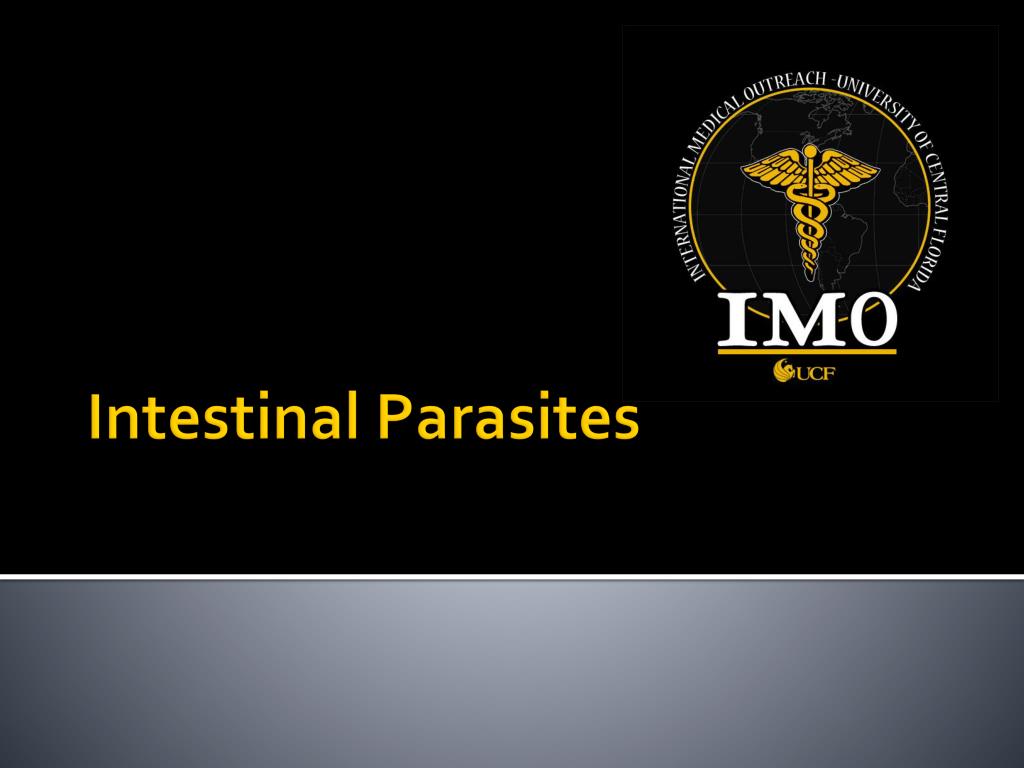 PPT - Intestinal Parasites PowerPoint Presentation, free download - ID ...