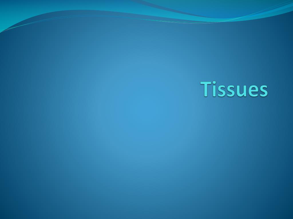 PPT - Tissues PowerPoint Presentation, free download - ID:3041825