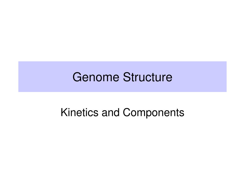 PPT - Genome Structure PowerPoint Presentation, free download - ID:3042325
