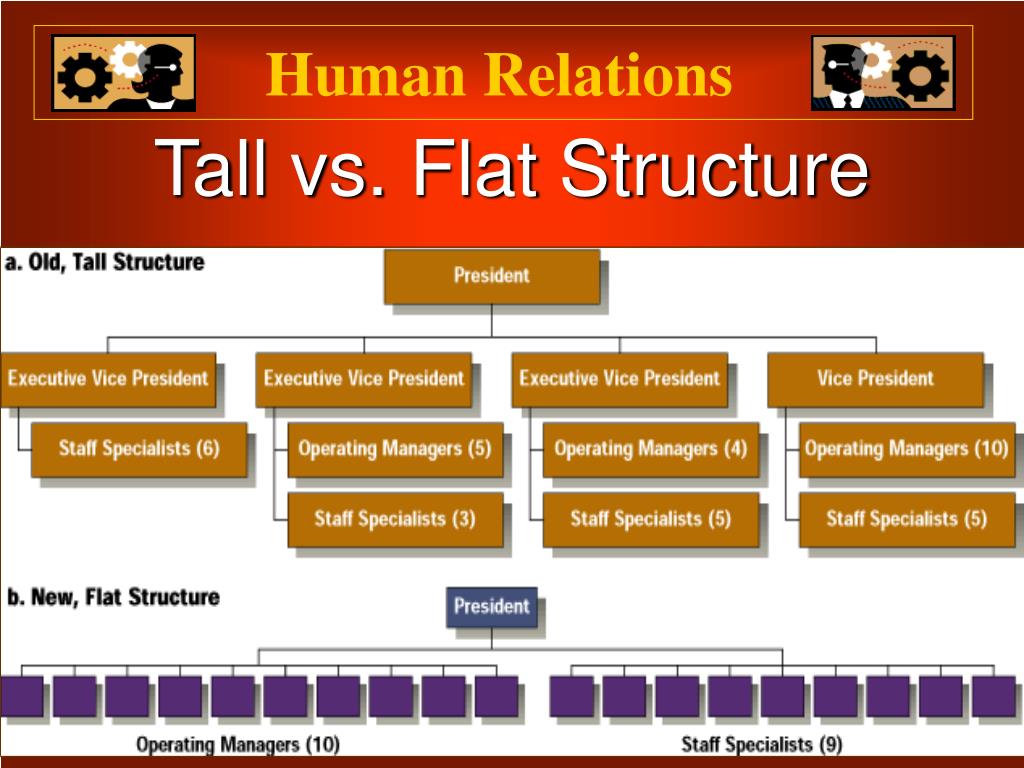 PPT - Tall vs. Flat Structure PowerPoint Presentation, free download ...