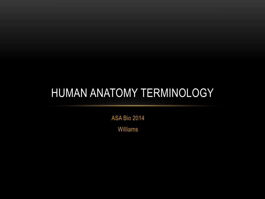 PPT - Human Anatomy Terminology PowerPoint Presentation, free download ...
