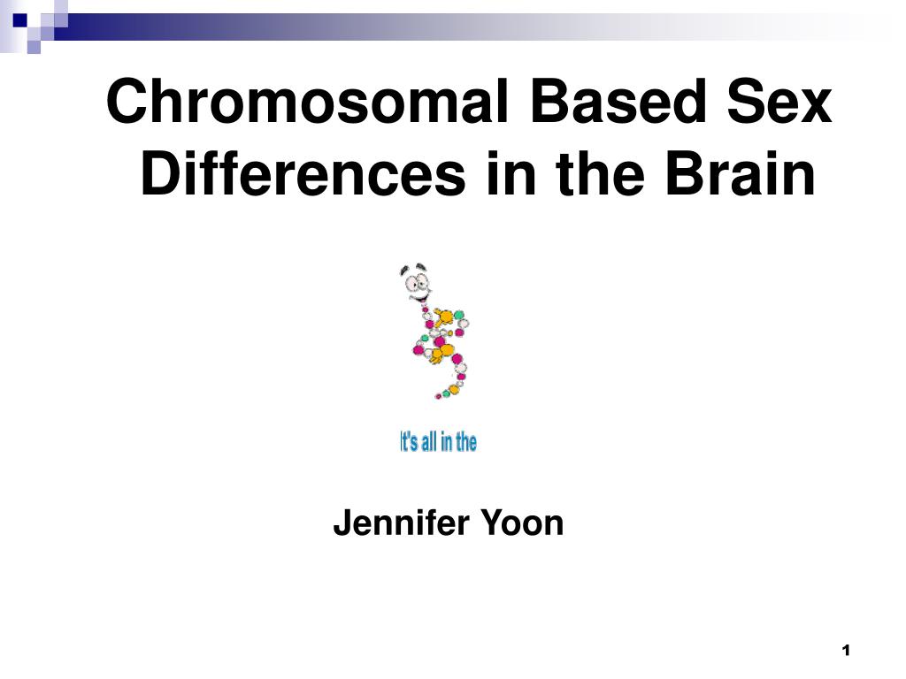PPT - Chromosomal Based Sex Differences in the Brain PowerPoint ...