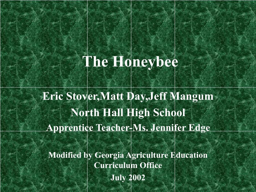 PPT - The Honeybee PowerPoint Presentation, free download - ID:3046122