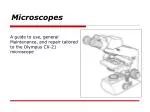 PPT - Parts of Microscopes PowerPoint Presentation, free download - ID ...