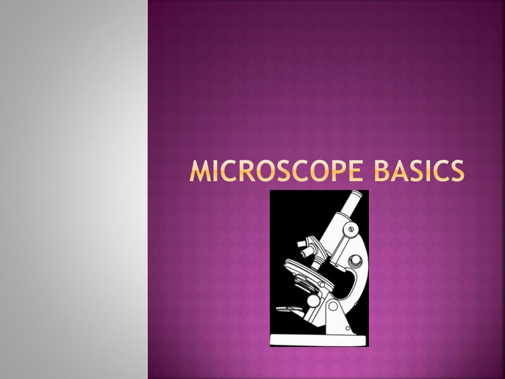 PPT - Microscope Basics PowerPoint Presentation, free download - ID:3050530
