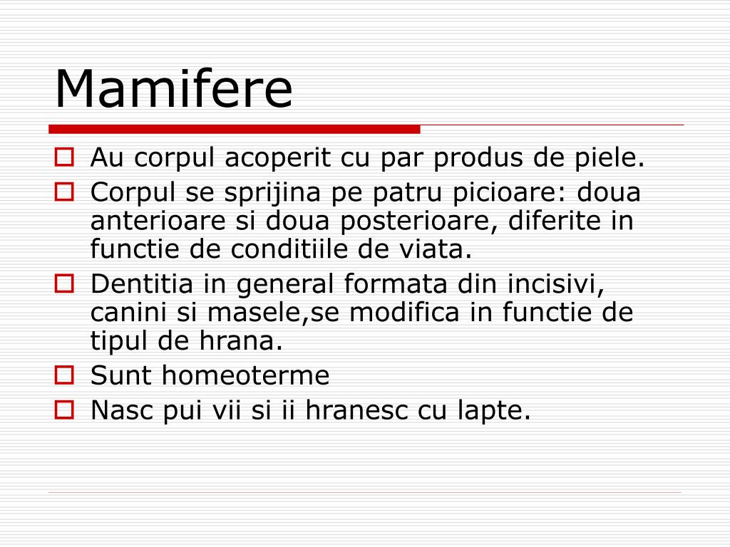 PPT - Mamifere PowerPoint Presentation, free download - ID:3054941