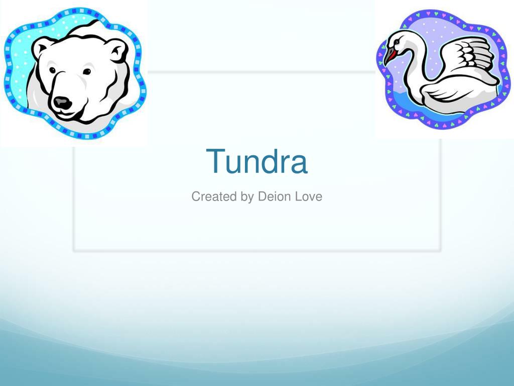 PPT - Tundra PowerPoint Presentation, free download - ID:3055833
