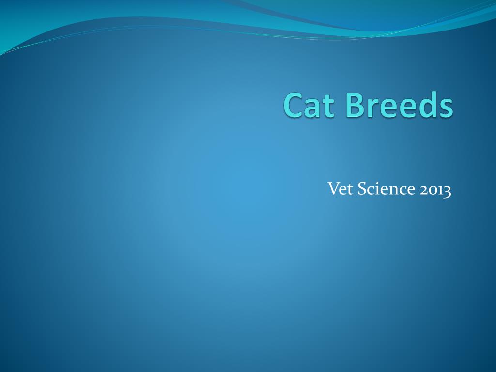 PPT - Cat Breeds PowerPoint Presentation, free download - ID:3056184