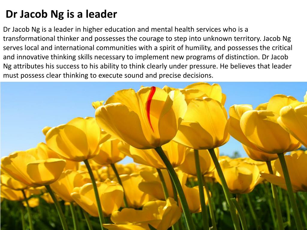 PPT - Dr Jacob Ng is a leader PowerPoint Presentation, free download ...