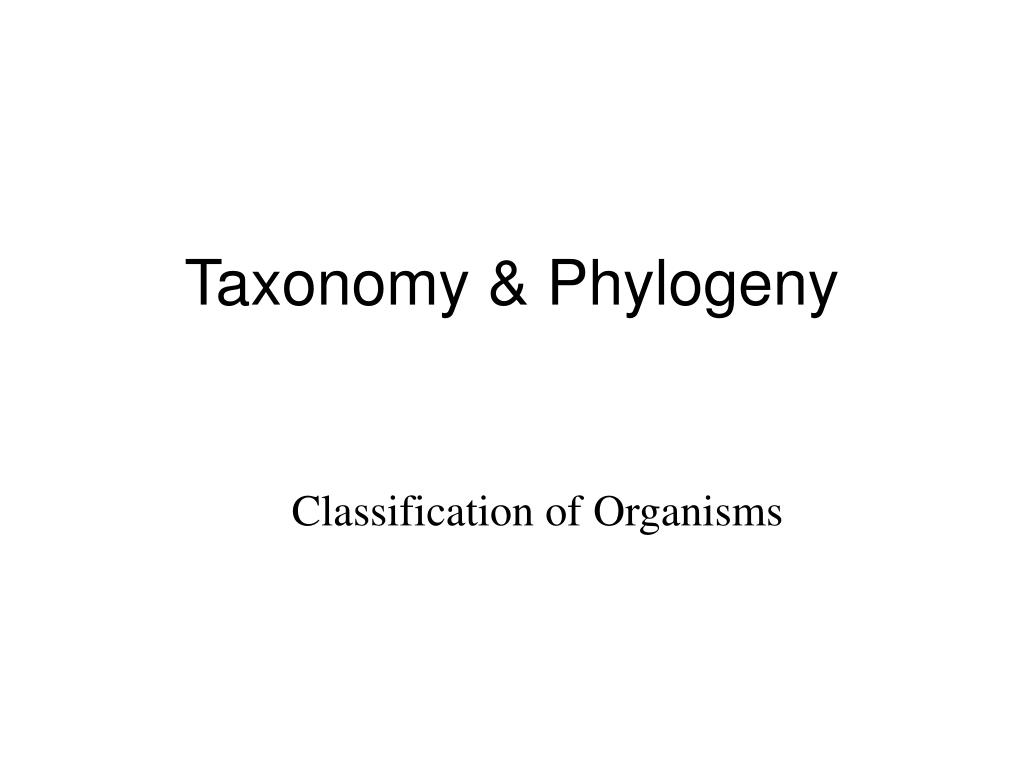 PPT - Taxonomy & Phylogeny PowerPoint Presentation, free download - ID ...