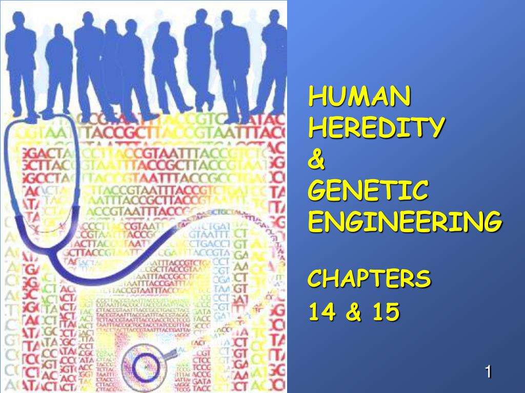 PPT - HUMAN HEREDITY & GENETIC ENGINEERING PowerPoint Presentation - ID ...
