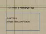 PPT - STRESS AND ADAPTATION PowerPoint Presentation, free download - ID ...