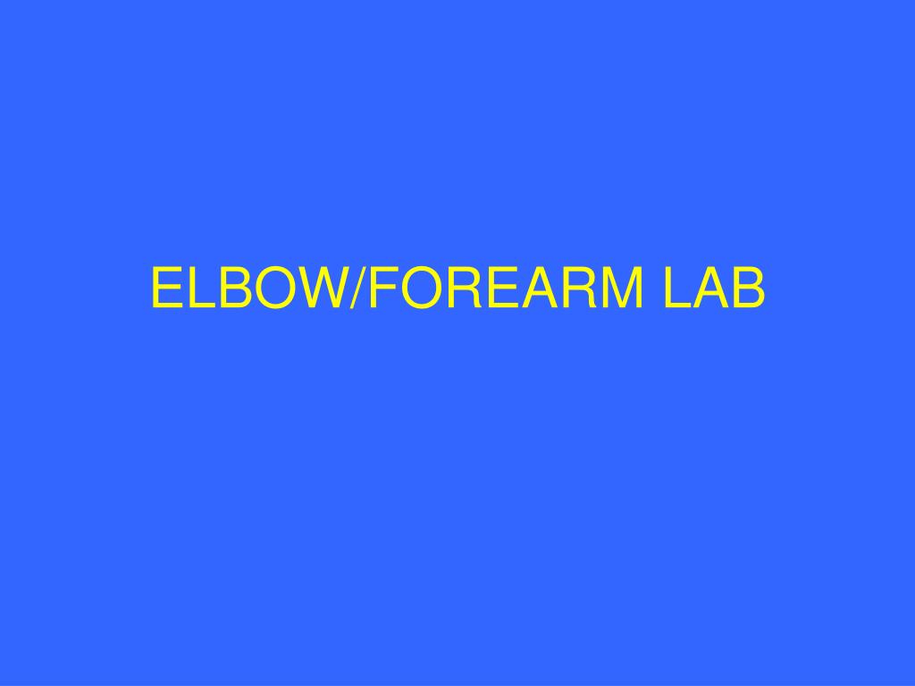 PPT - ELBOW/FOREARM LAB PowerPoint Presentation, free download - ID:3058489
