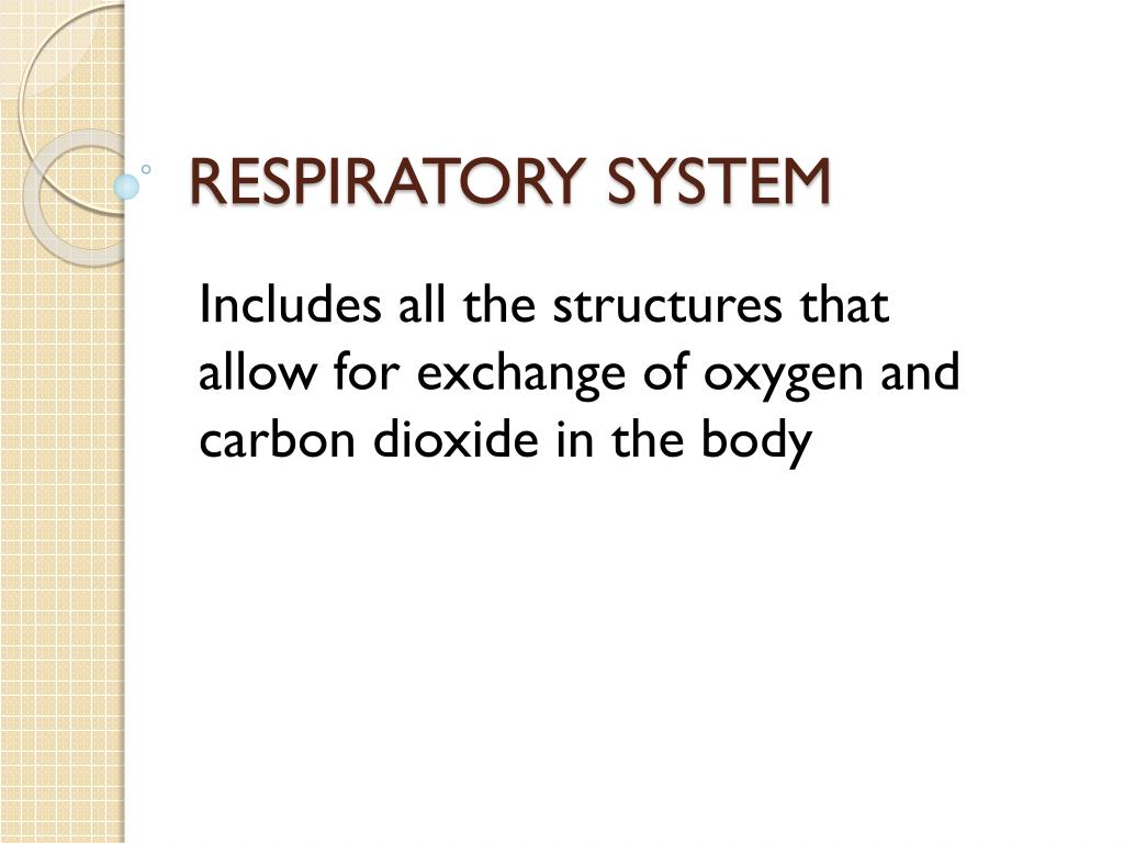 PPT - RESPIRATORY SYSTEM PowerPoint Presentation, free download - ID ...
