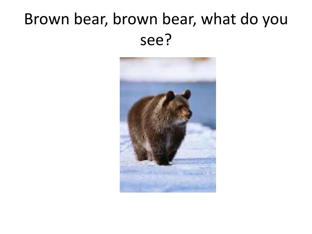 PPT - Brown bear, brown bear, what do you see? PowerPoint Presentation ...