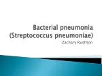 PPT - Streptococcus pneumoniae pneumococus PowerPoint Presentation ...