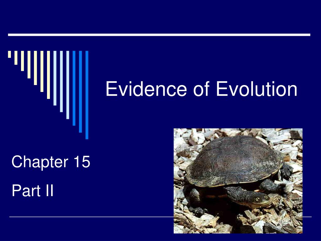 PPT - Evidence of Evolution PowerPoint Presentation, free download - ID ...