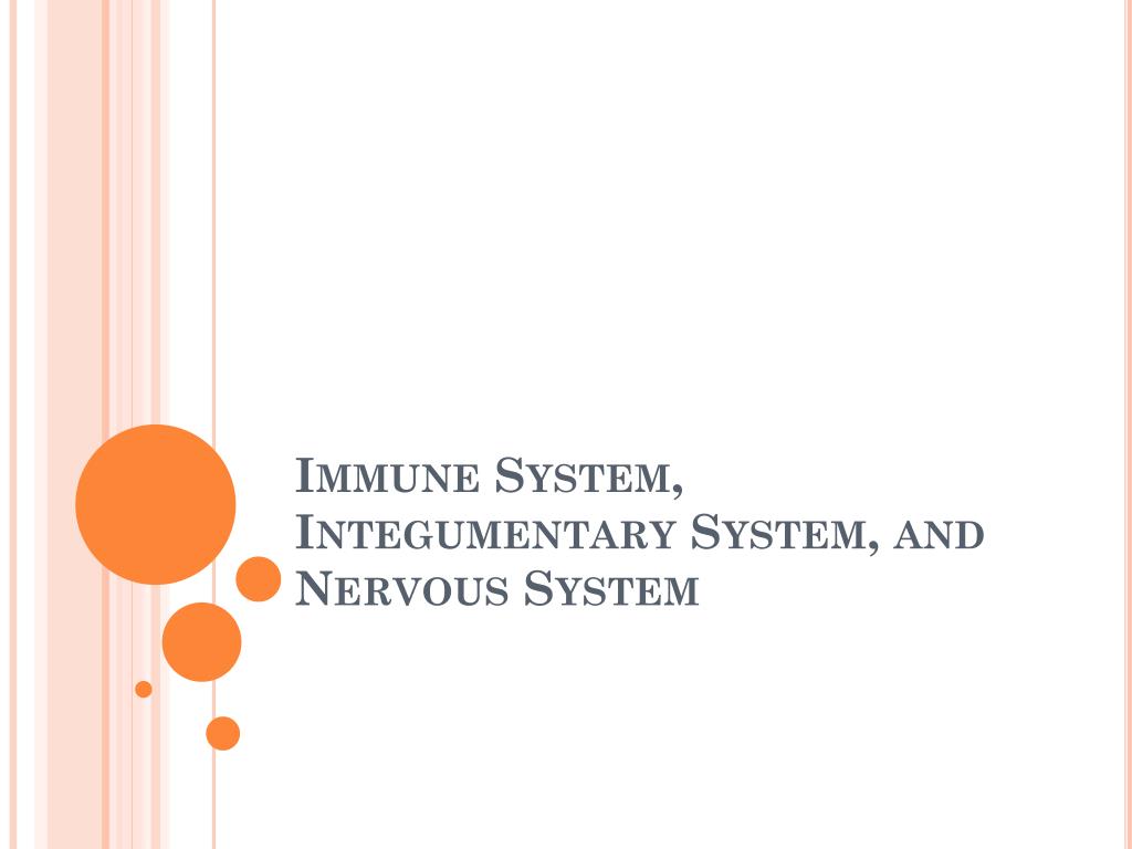 PPT - Immune System, Integumentary System, and Nervous System ...