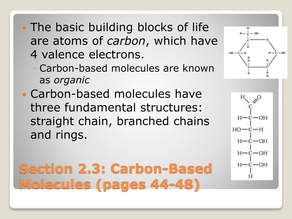 PPT - Section 2.3: Carbon-Based Molecules (pages 44-48) PowerPoint ...