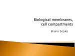 PPT - Biological Membranes PowerPoint Presentation, free download - ID ...