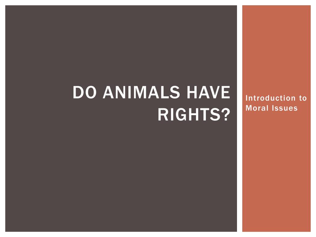 PPT - Do Animals Have Rights? PowerPoint Presentation, free download ...