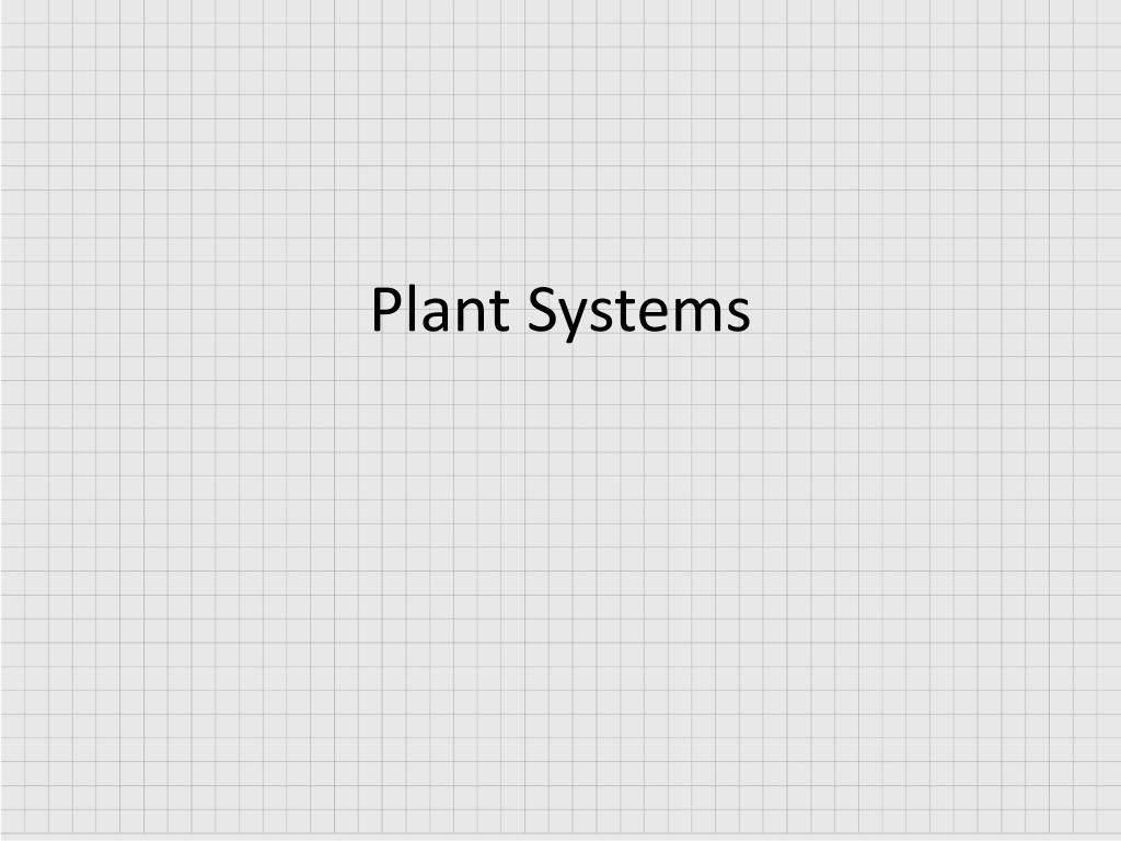 PPT - Plant Systems PowerPoint Presentation, free download - ID:3068939