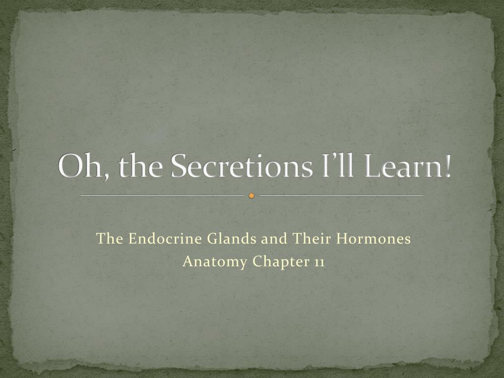 PPT - Oh, the Secretions I’ll Learn! PowerPoint Presentation, free ...