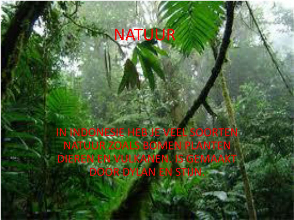 PPT - NATUUR PowerPoint Presentation, free download - ID:3076535