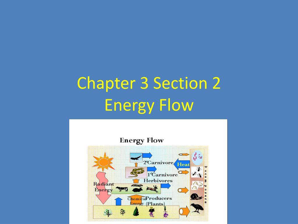 PPT - Chapter 3 Section 2 Energy Flow PowerPoint Presentation, free ...