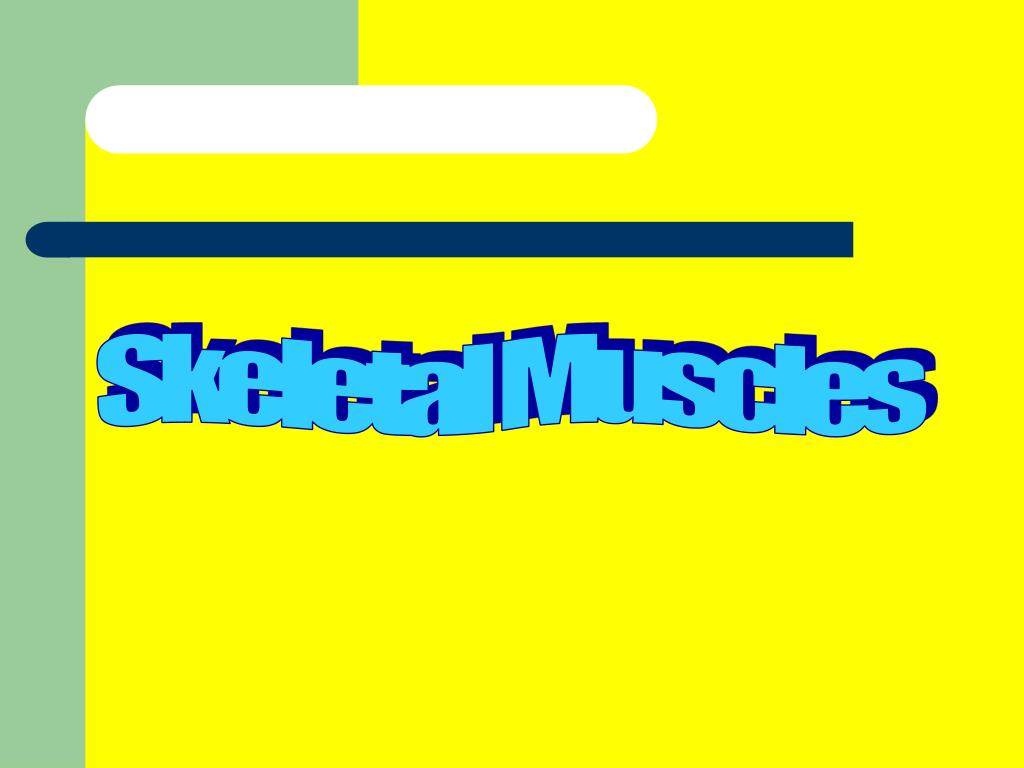 Ppt Skeletal Muscles Powerpoint Presentation Free Download Id 3082337