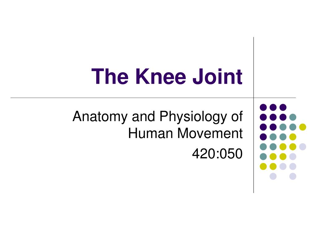 PPT - The Knee Joint PowerPoint Presentation, free download - ID:3082352