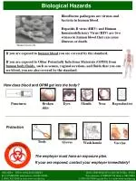 PPT - 2. BIOLOGICAL HAZARDS PowerPoint Presentation, free download - ID ...