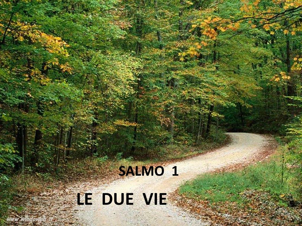 PPT - SALMO 1 PowerPoint Presentation, free download - ID:3083421