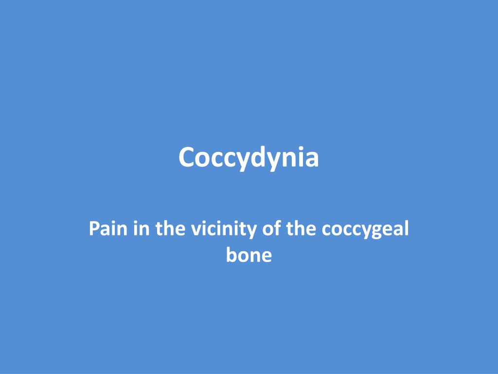 PPT - Coccydynia PowerPoint Presentation, free download - ID:3084397