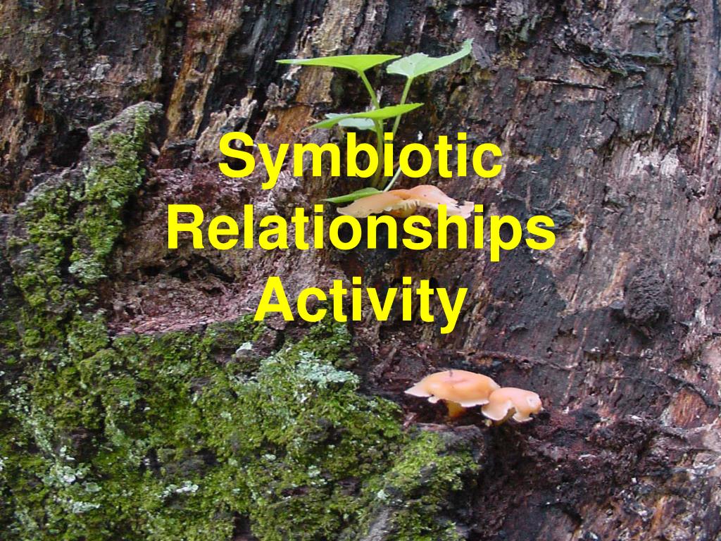 PPT - Symbiotic Relationships Activity PowerPoint Presentation, free ...