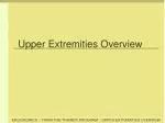 PPT - Positioning Review of Upper and Lower Extremities PowerPoint ...
