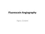 PPT - Fluorescein Patterns PowerPoint Presentation, free download - ID ...