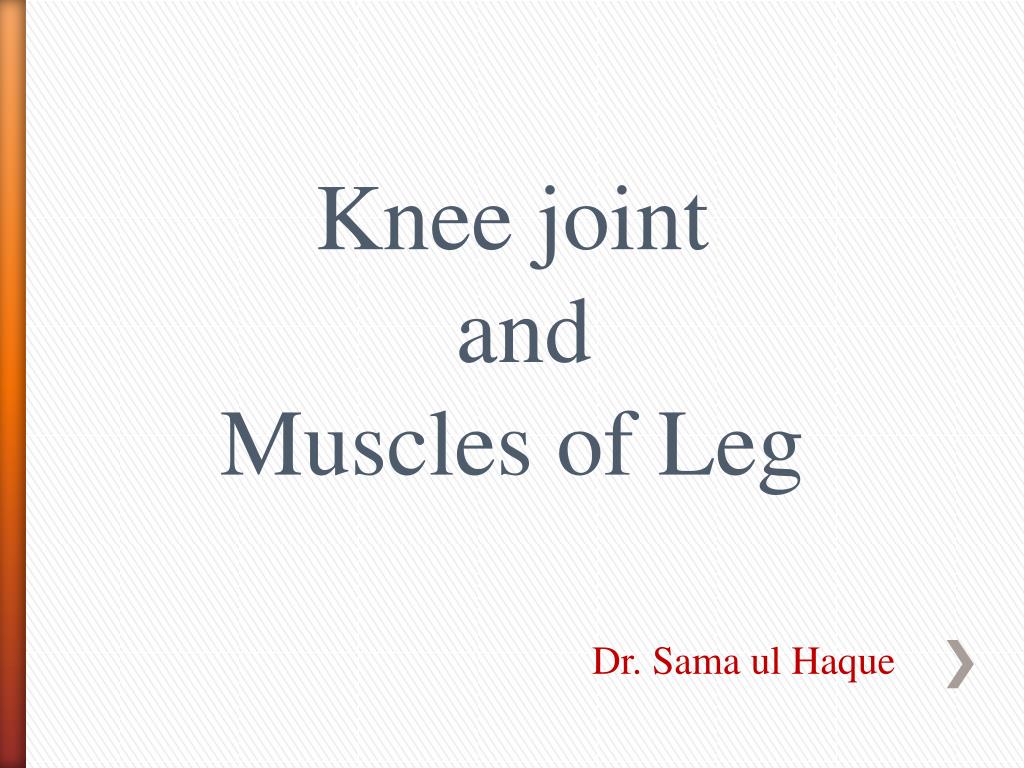 PPT - Knee joint and Muscles of Leg PowerPoint Presentation, free ...