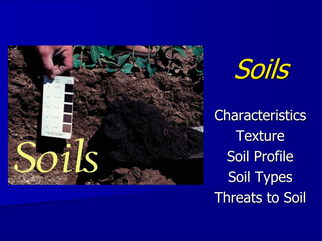 PPT - Soils PowerPoint Presentation, free download - ID:3091574